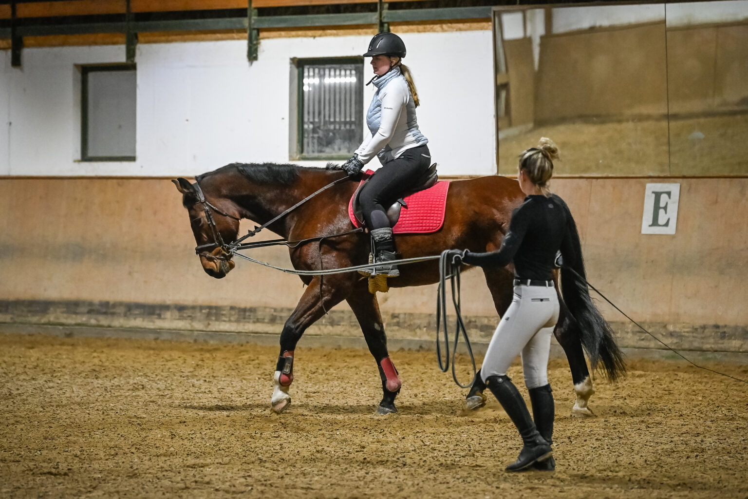 Reitschule – Baholz Pferdesport AG